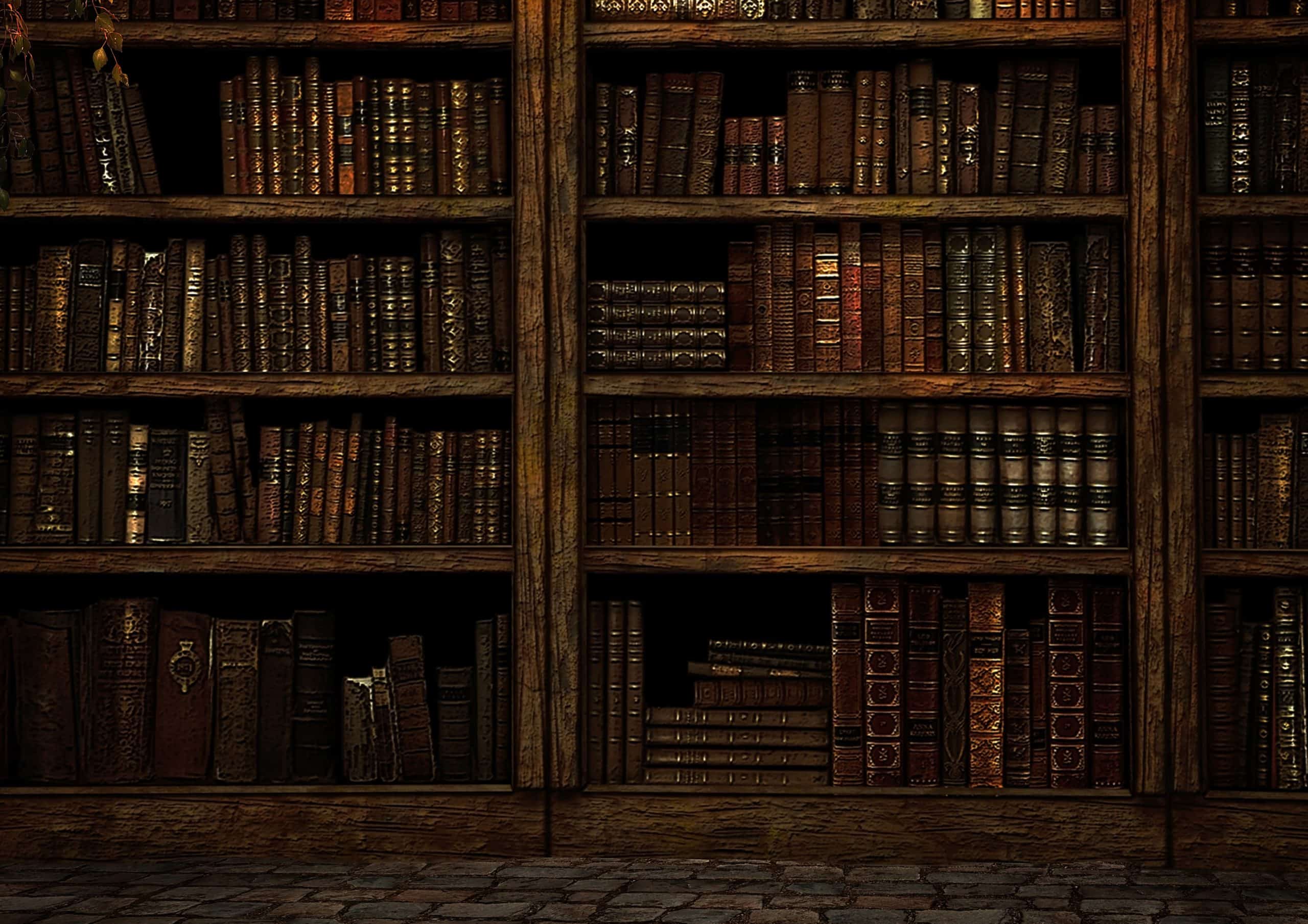 Bookshelf Landscape - The Beachouse