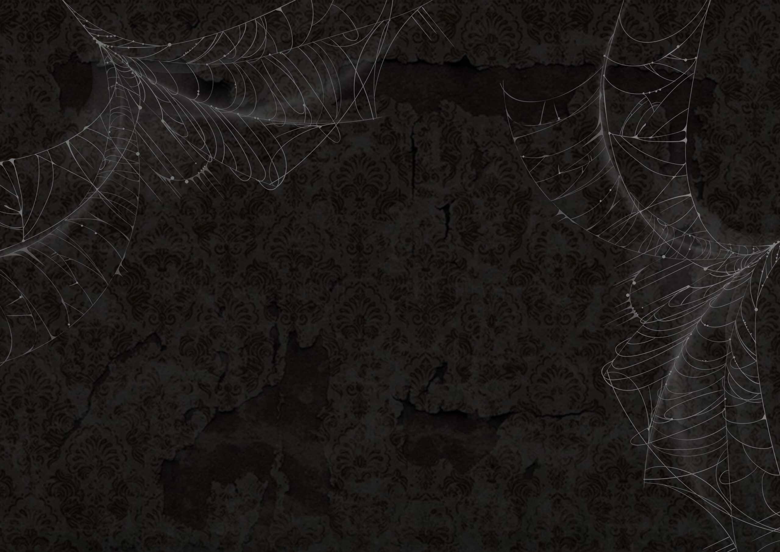 Old SpiderWeb Wall Paper Background - The Beachouse